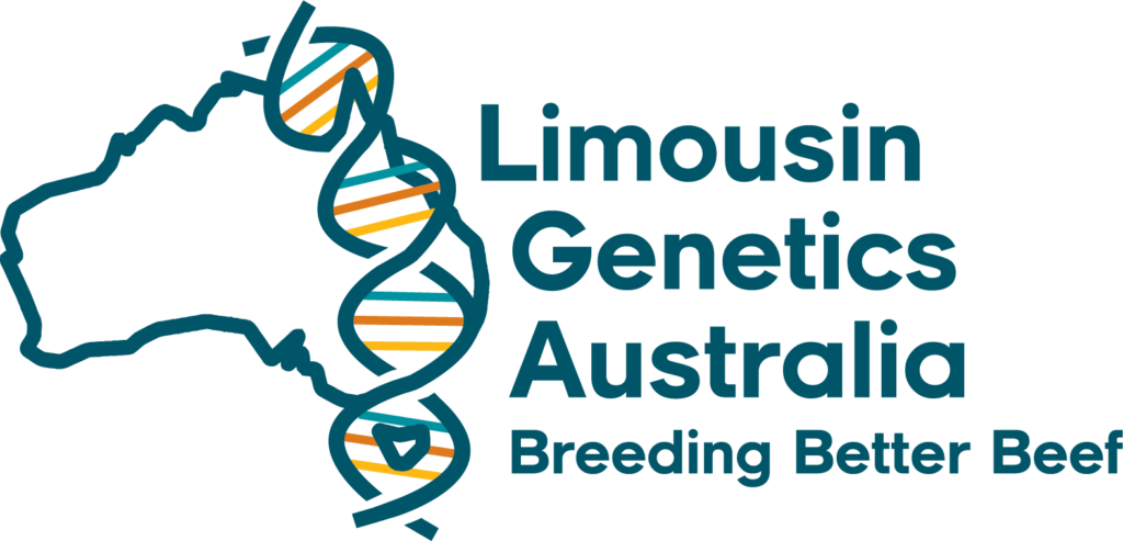 Elite Female & Genetics Sale - Limousin Genetics Australia